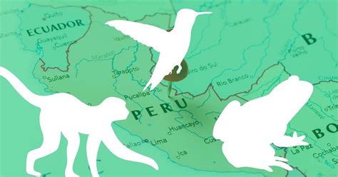 Sabías que el Perú alberga siete especies únicas de animales en el mundo pero que se