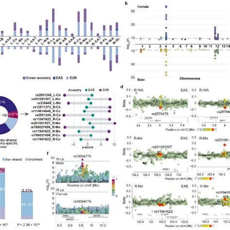 Genetic Discovery In Sex Stratified Gwass And Allelic Effect Download Scientific Diagram