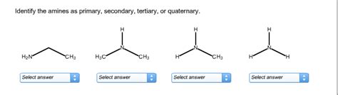 Amines Primary Secondary Tertiary