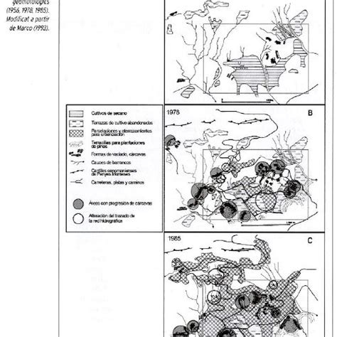 The Coning And Quartering Procedure Download Scientific Diagram