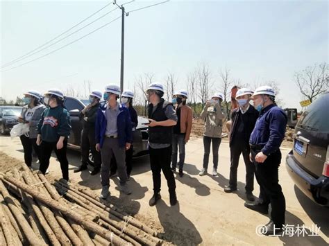 热烈祝贺第十届中国花卉博览会盛大开幕看看林业人的身影在哪里 澎湃号政务 澎湃新闻 The Paper
