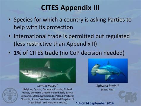 Ppt Cites An Introduction Powerpoint Presentation Free Download