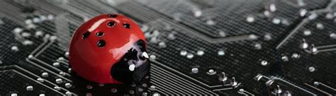 Exploring The World Of Bug Bounty With Burp Suite Unveiling The