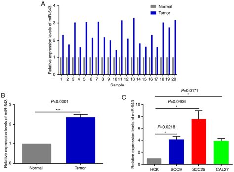 High Expression Of Mir 543 In Oscc Cell Lines And Human Tissues A And
