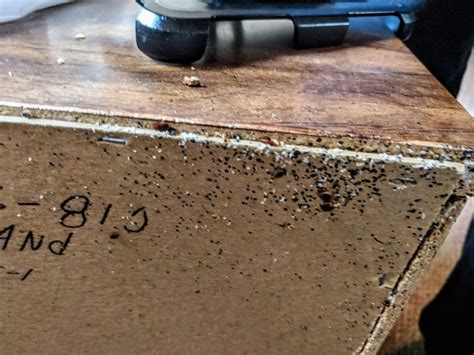 Severe Bed Bug Infestation