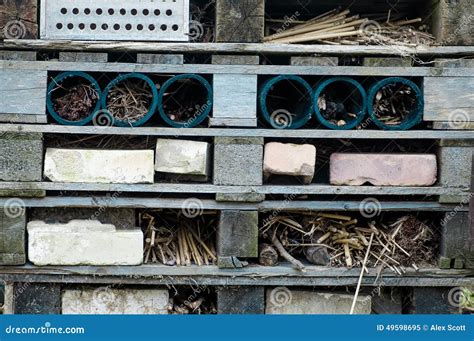 Hibernaculum For Invertebrates Stock Image Image Of Environment