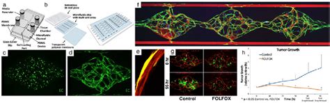 Figure From Applications Of Tumor Chip Technology Semantic Scholar