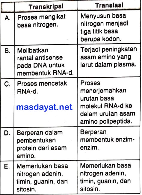 Sintesis Protein Disusun Oleh Dua Tahapan Yaitu Transkripsi Dan