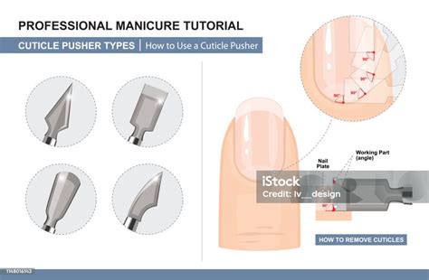 전문 매니큐어 자습서 큐티 클 푸 셔를 사용 하는 방법 큐티 클을 제거 하는 방법 손톱 확장 및 매니큐어 도구 푸 셔 유형 벡터 일러스트 손톱에 대한 스톡 벡터 아트 및