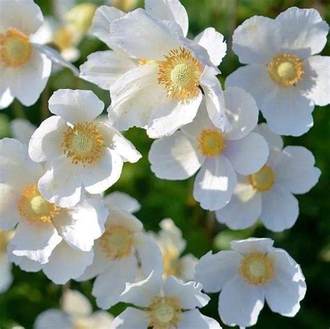 生命之美，在于平静 人生 生活 都是新