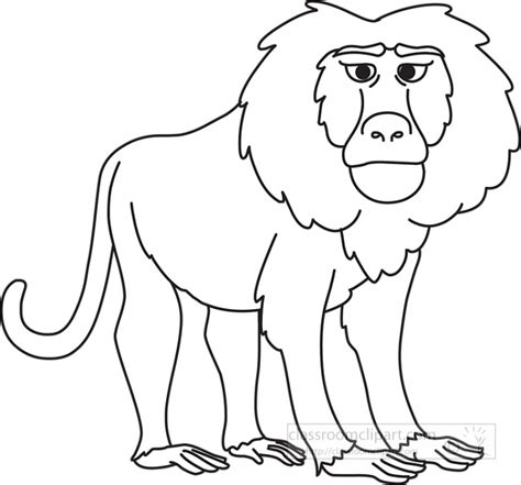 Baboon Black White Outlineeps Classroom Clipart