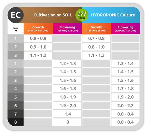 Ec Levels For Hydroponic Lettuce At Eddie Avila Blog