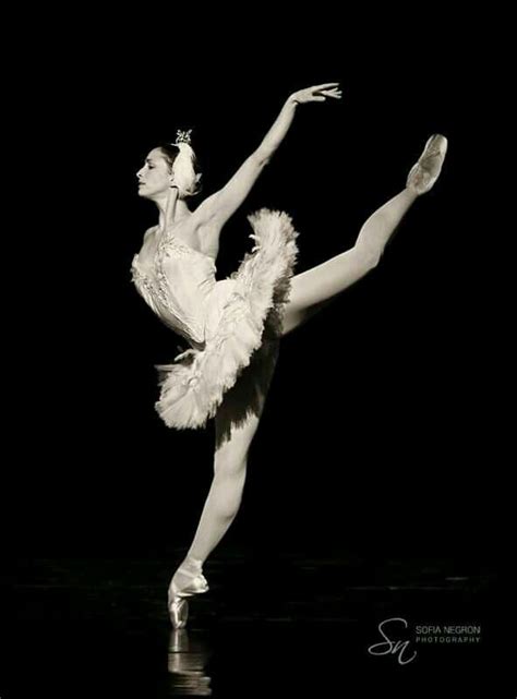 Dance Photography Poses Dancer Photography Ballet Dance Photography