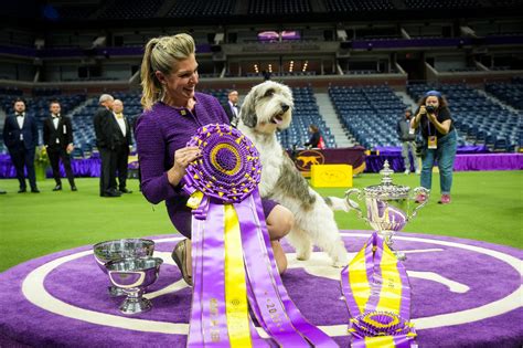 National Dog Show 2024 Winner Crowning Canine Excellence Dog Show Tv