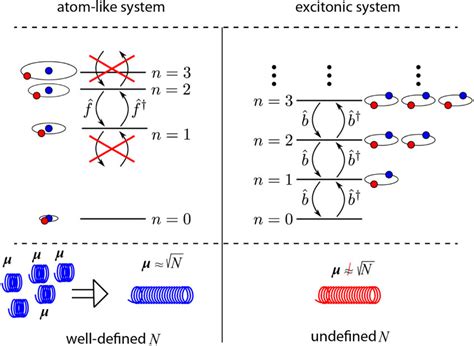 Differences Between The Types Of Emitters Employed In Strong Coupling