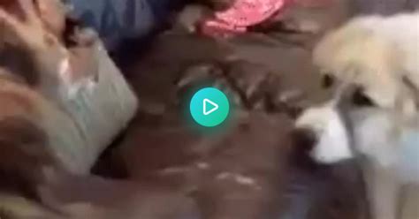 I Choose Violence Album On Imgur