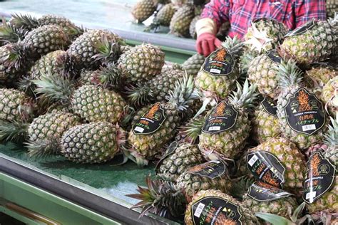 上下游newsandmarket 一個專注於農業、食物、環境等公共議題的獨立媒體