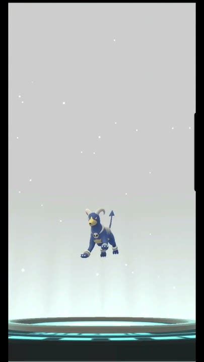 Shiny Houndour Evolves Into Houndoom Pokemon Pokemongo Dark