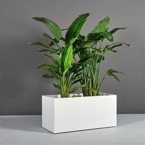 Jay Scotts Badalona Rectangular Fiberglass Planter Box 39l X 17w X