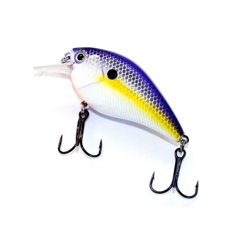 The Xcite Baits Xb 1 In An Exclusive Lucky Tackle Box
