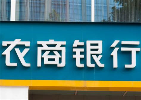 河北大名农商银行发放首笔数字助农贷款 财源 商讯社 商讯杂志社官方网站