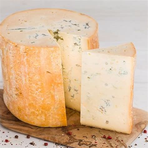 Cheese Test Csv Kaggle