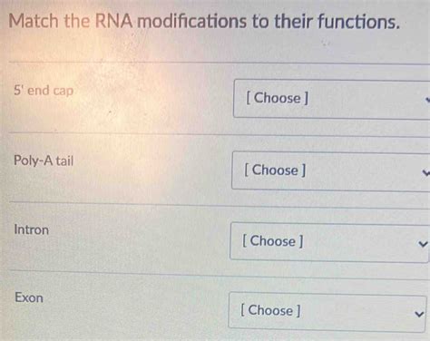 solved match the rna modifications to their functions 5 1 end cap