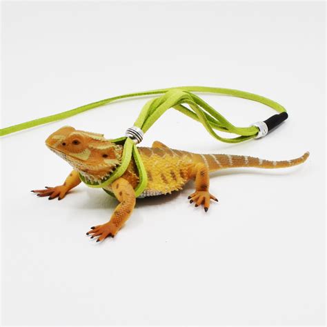 Bearded Dragon Leash Reptile Adjustable Leash Iguana Leash Reptile Harness Bearded Dragon