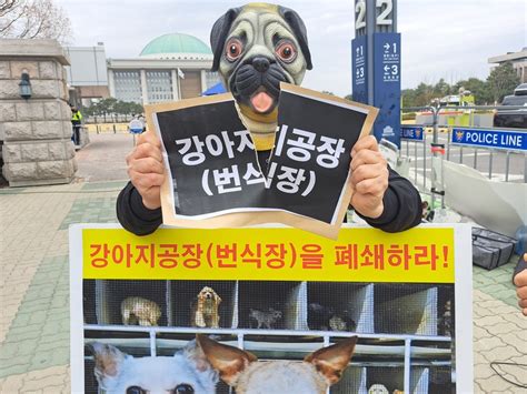 비건뉴스