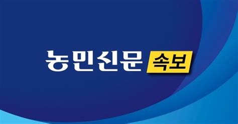 속보 질병청장 “오는 31일 코로나19 감염병등급 2급→4급 하향”