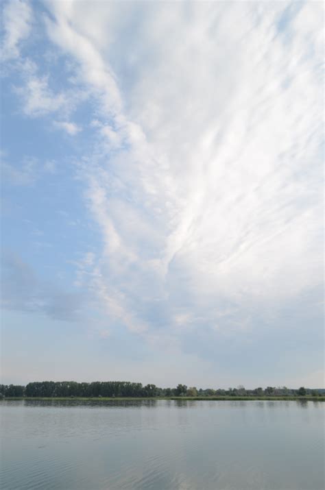 7-й ставок
