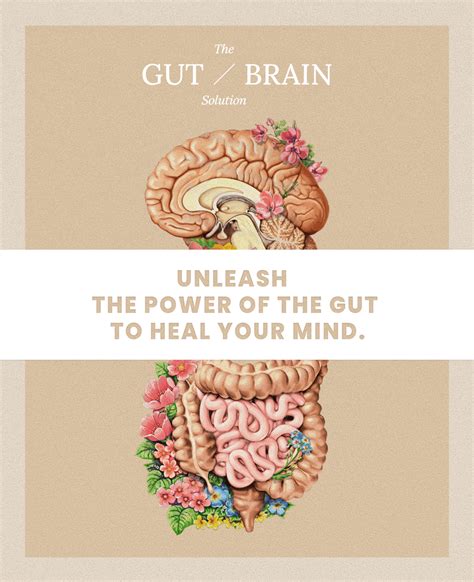 The Gut Brain Solution Overcome Mental Health Challenges Goodness Lover