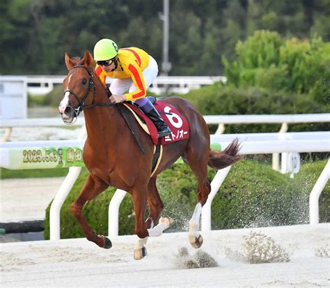 ミトノオーと武豊 ― スポニチ Sponichi Annex ギャンブル