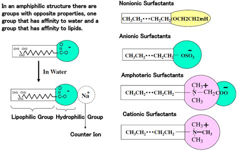 1 molecular structure and classication of various surfactant download scientific diagram