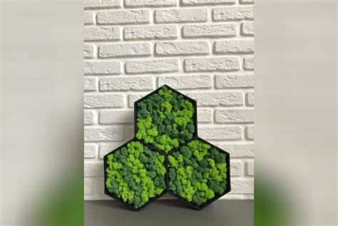 Пчелна пита пано със скандинавски мъх • Artlab Bg