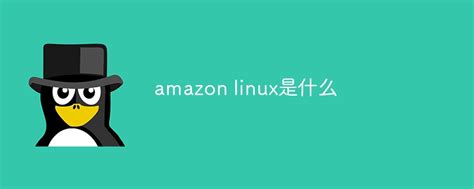 what is amazon linux linux operation and maintenance php cn