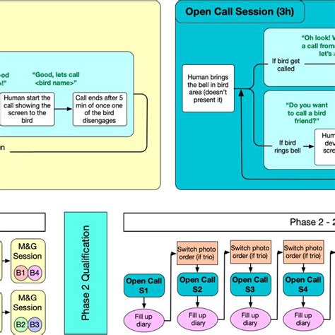Experimental Protocol The Protocol Consists Of Two Phases Phase 1 Download Scientific Diagram