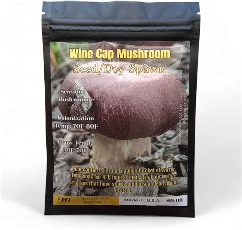 Wine Cap Mushroom Seeddry Spawn Patio Lawn And Garden