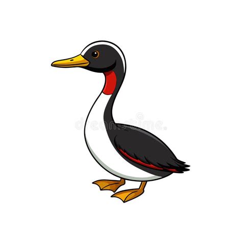 Atitlan Grebe Stock Illustrations 5 Atitlan Grebe Stock Illustrations