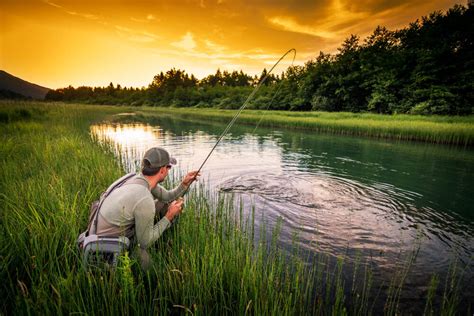 Fishing In Rivers Vs Lakes Techniques And Challenges Michaels Bait