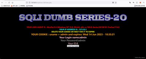 Sqli Labs靶场通关11 20sqli靶场通关payload Csdn博客