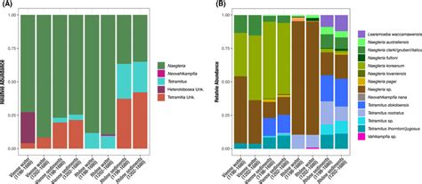 Taxonomic Assignments Of Heterolobosean Amplicons Yielded By Primer