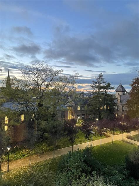 Nora Cheng Noracheng96 Twitter