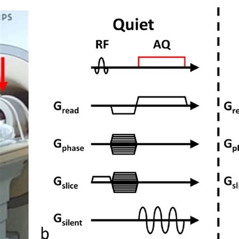 A The Silent Gradient Coil Used In This Work Indicated By The Red