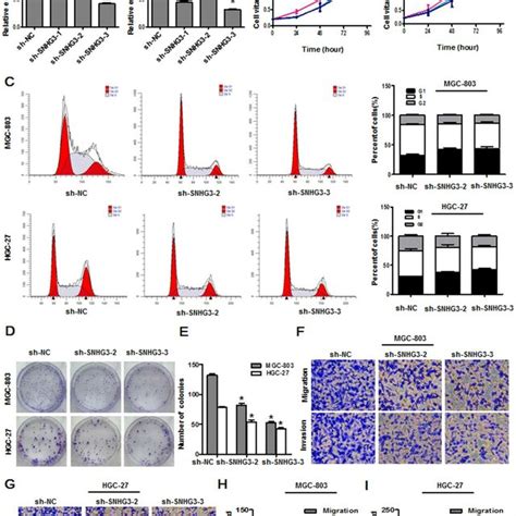 The Inhibition Of Snhg3 Suppresses In Vivo Tumor Growth A Tumor