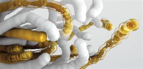 Building A Genome From Scratch Lessons Learned From Sc20 The Center