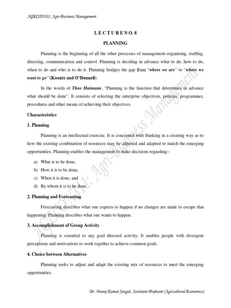 Management Functions 1 Planning Download Free Pdf Economics Market Economics