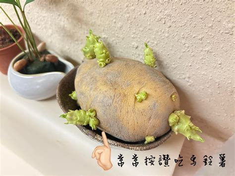 Im 蘿蔔 Hi大家好久不見 最近很忙碌已經一段時間沒有新作品 也很久沒開台了 因為忙到幾乎沒有時間碰電腦 請大家多多見諒！ 請等候我