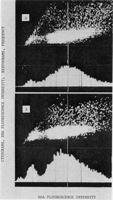 Method 3 Staininig Of It2 Vivo Emt6 Cells Panel A Cytogram Of Dna Vs