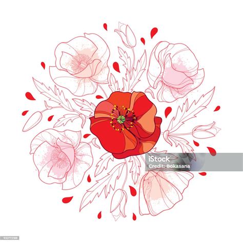 벡터 라운드 꽃다발 개요 붉은 양 귀 비 꽃 무리 꽃 봉 오리와 잎 파스텔 흰색 배경에 고립에서 드로잉에 대한 스톡 벡터 아트
